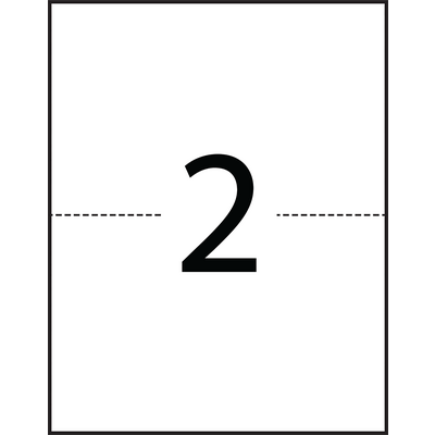 Avery Internet Shipping Labels - 5126 - 2 labels per sheet